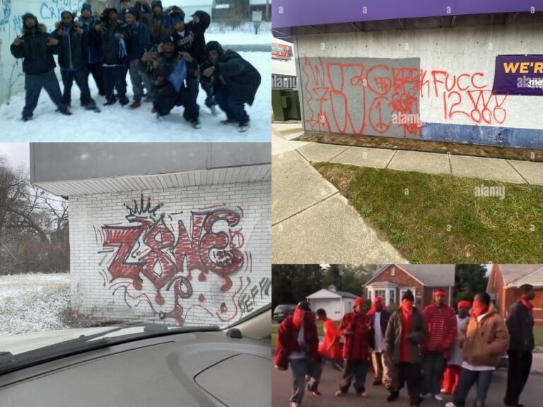 Detroit Street Gangs (DSG) – HOME PAGE