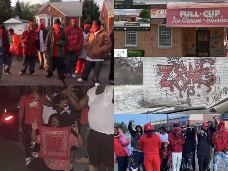 Inside the History of Blood-Affiliated Groups in Detroit