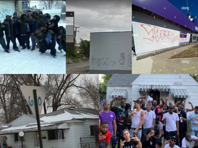 The History and Impact of Crip-Affiliated Groups in Detroit